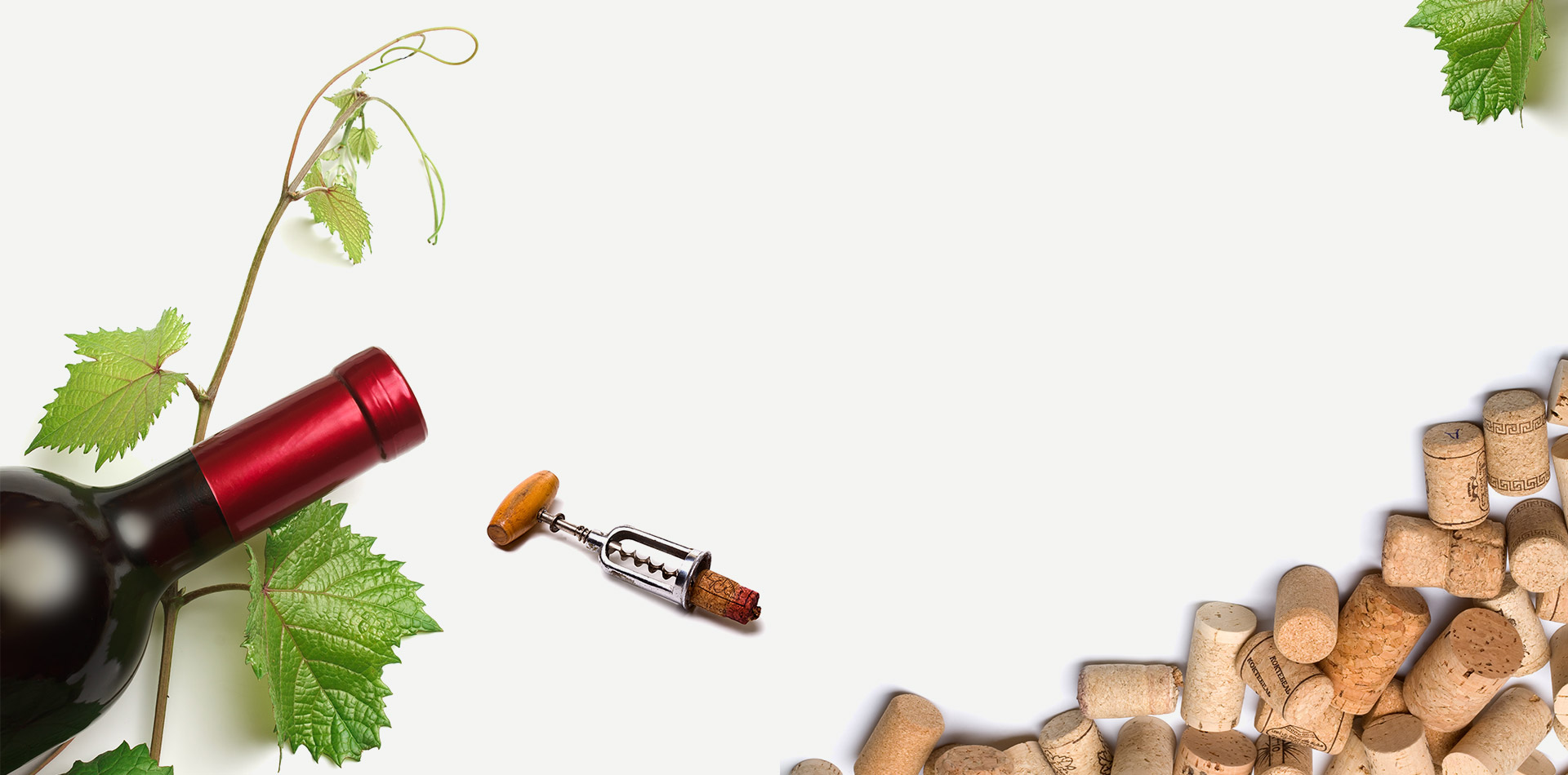 Početna - Vinarija Bajilo